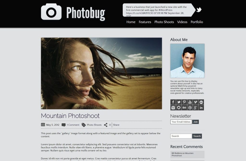 Tema PhotoBug - Template WordPress - temaswordpressbr.com